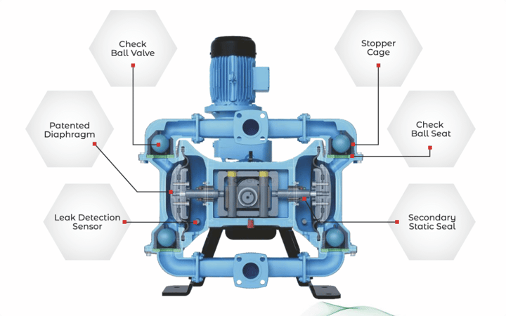EODD Pumps | Cognito