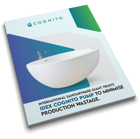 Case Study: Sanitaryware Industry Giant | Cognito